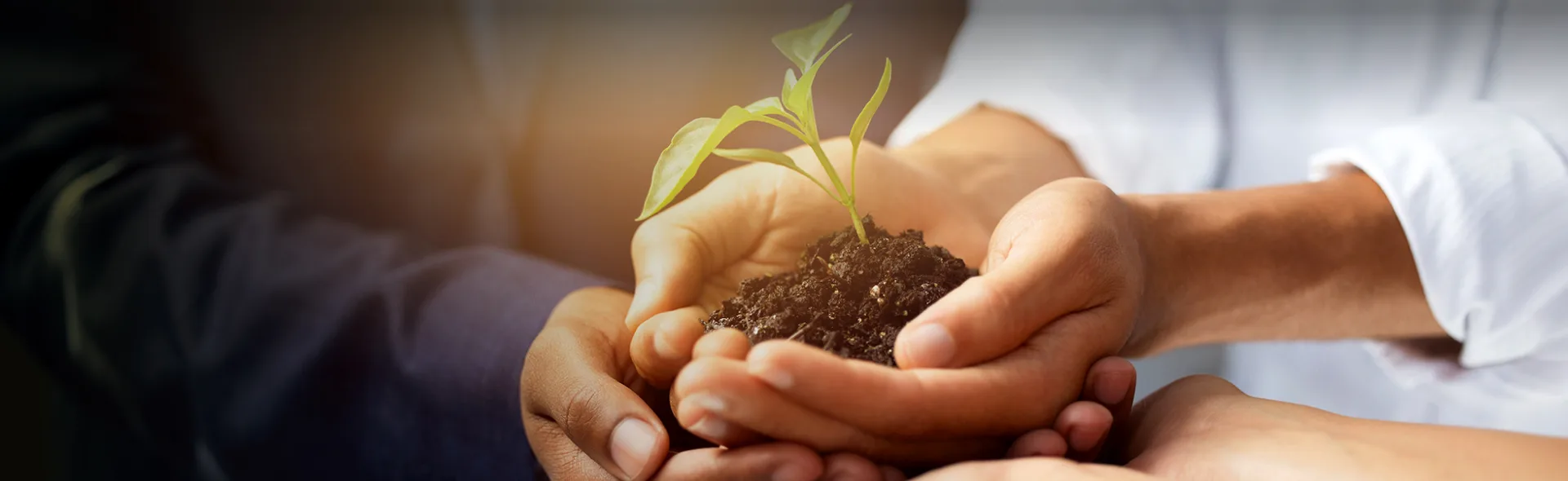 Community Impact